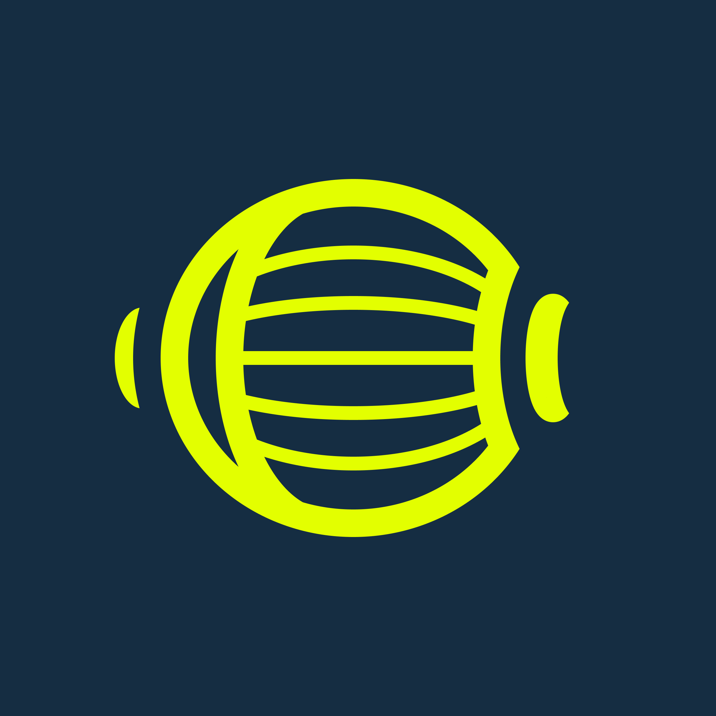 Padel Ball Collectors – AKTYVA